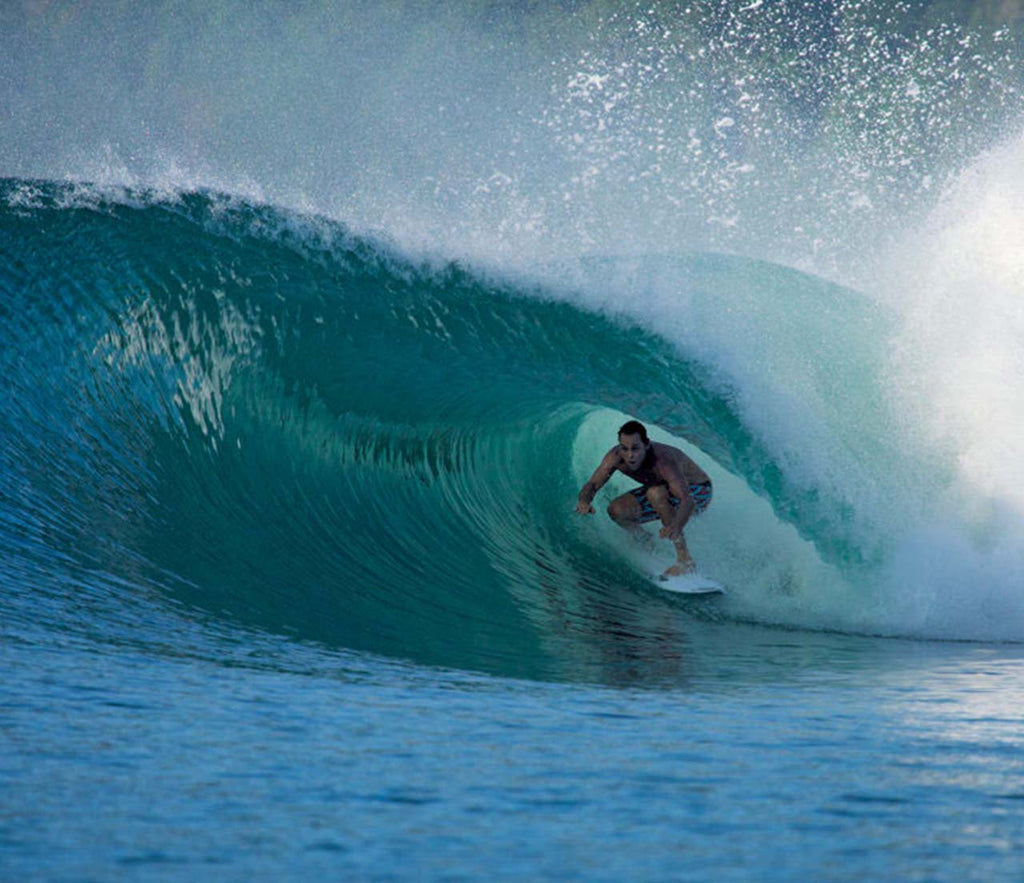 Taylor Knox - Carlsbad, CA – Reef Canada